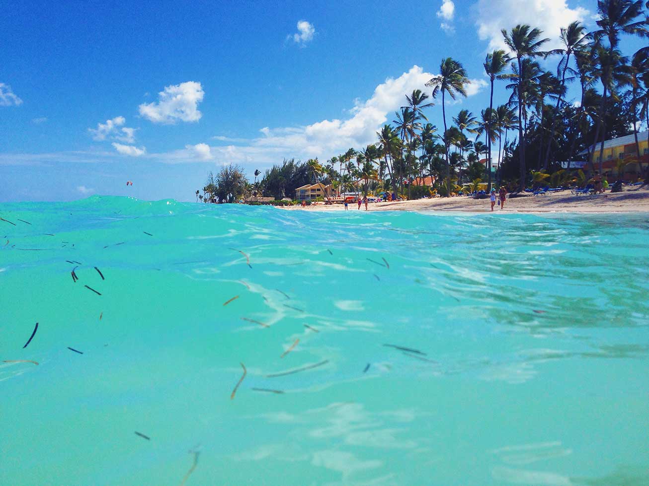 Encantos caribeños de República Dominicana - VIAJESREBAJADOS.com